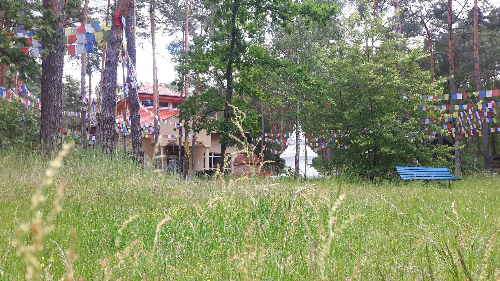 Cziamma Ling – Ligmincha Polska